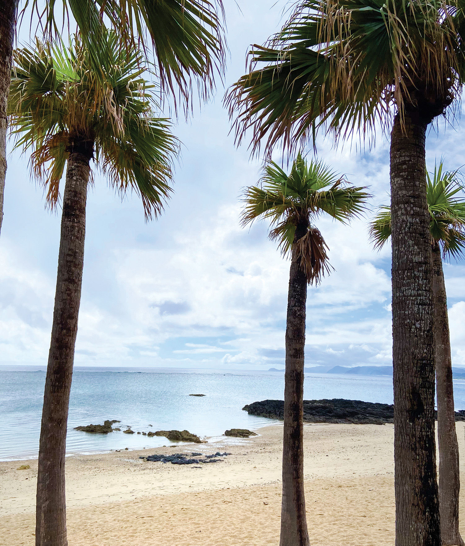 Amami Magic: A Guide to Yet Another Glorious Place to Explore in Japan