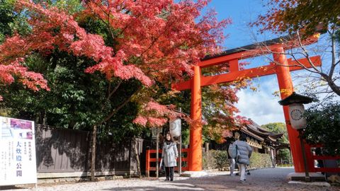 Fall Foliage Forecast 2025: Best Time To Savour Autumn Sights In Japan