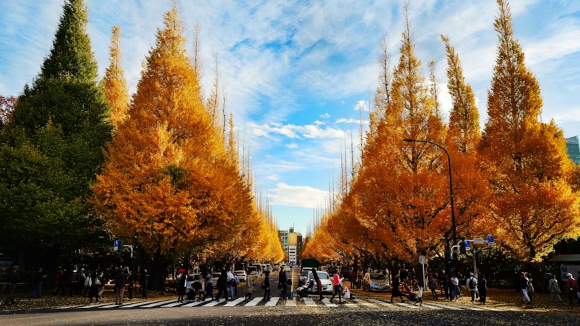 Fall Foliage Forecast 2025: Best Time To Savour Autumn Sights In Japan