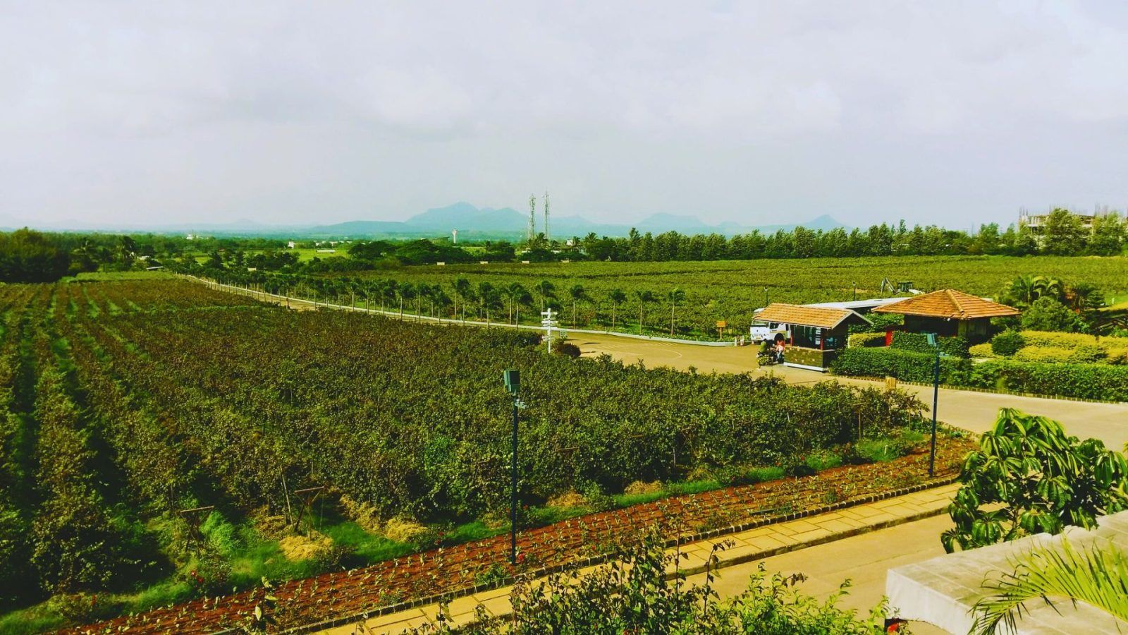 A Wine Lover's Guide To Nashik, 'India's Napa Valley'