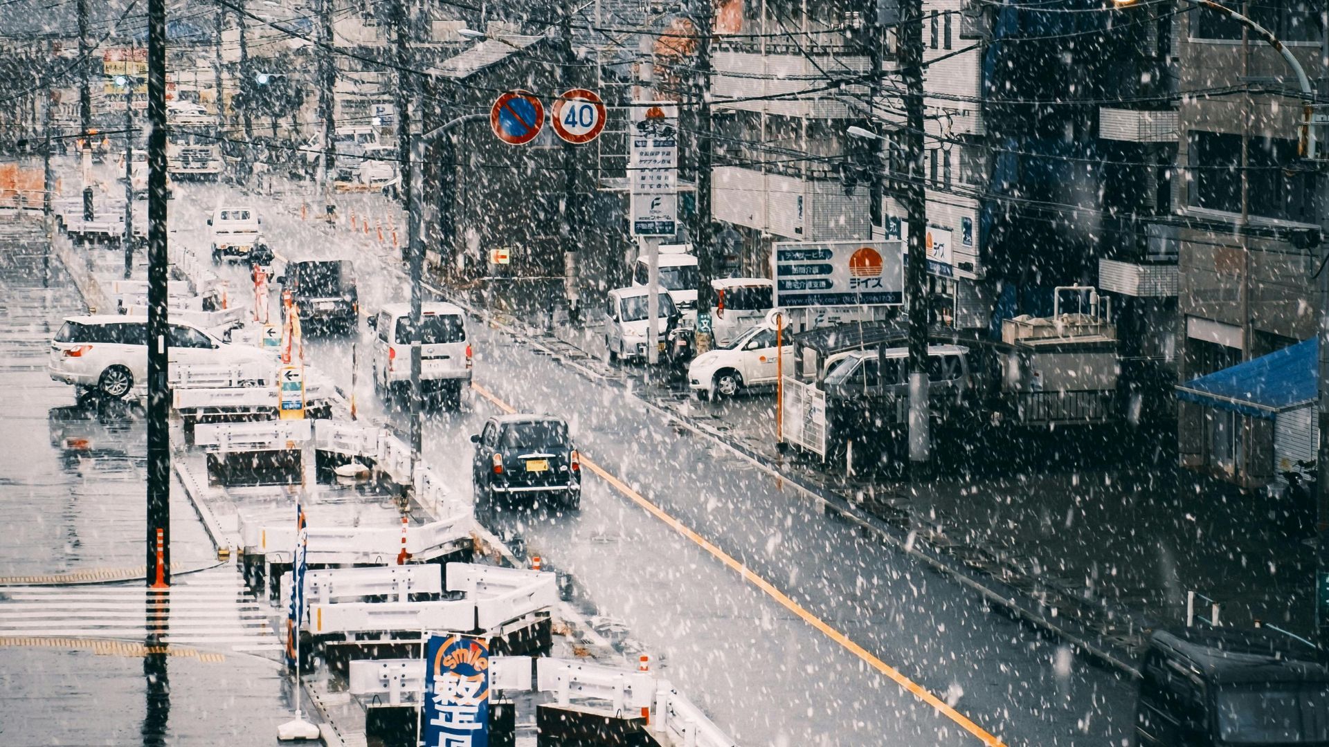 Tokyo’s Winter Wonderland: Unmissable Things To Do, Explore, And Eat