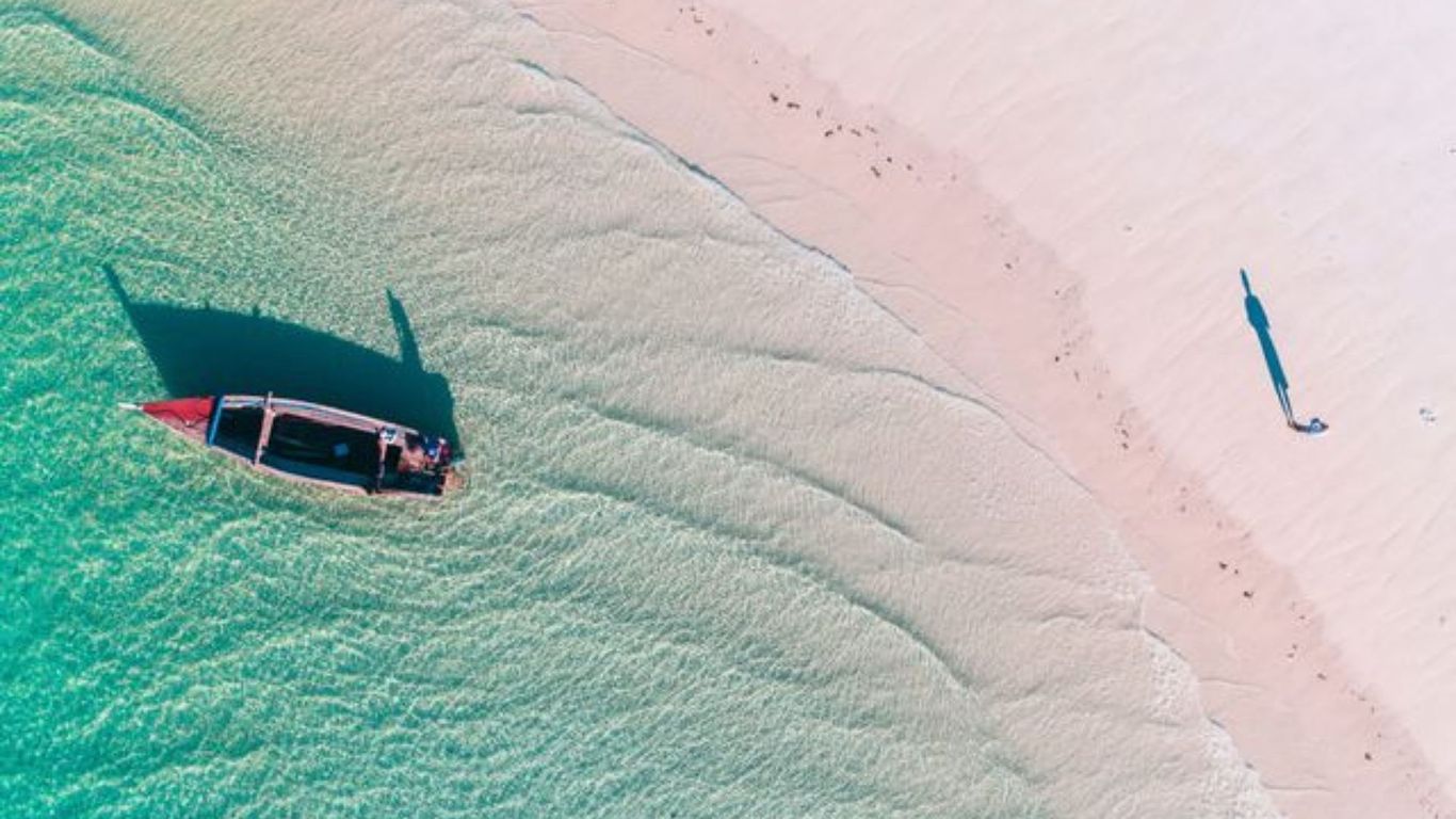 How To Pick Between Kenya & Tanzania - The Dream Safari Destinations