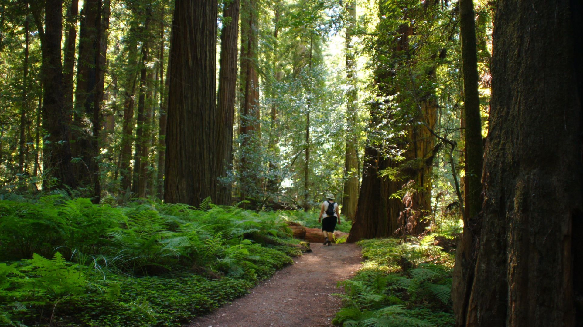 One Battle After Another: Exploring The Stunning Shooting Locations