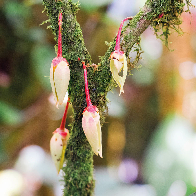 Countries, Cities & Destinations in South East Asia (SEA) Region ...