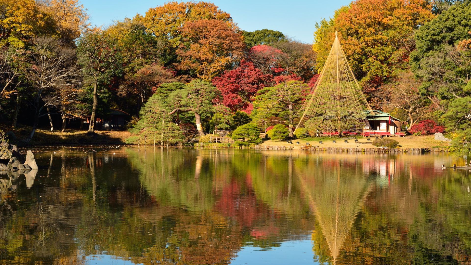 Fall Foliage In Japan: Top Places To Witness Breathtaking Autumn Scenes