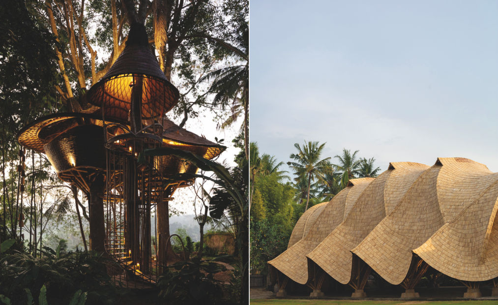 Bali’s Bamboo Revolution: The Architects Reimagining Sustainable Luxury