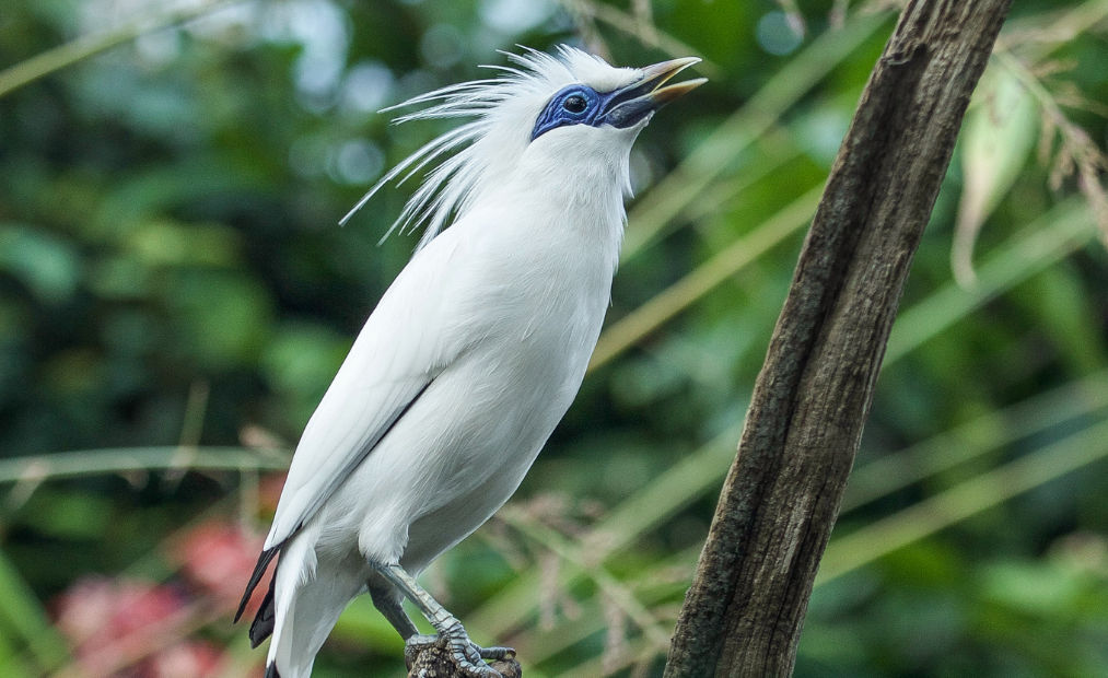 Bali | Travel+Leisure Southeast Asia, Hong Kong and Macau