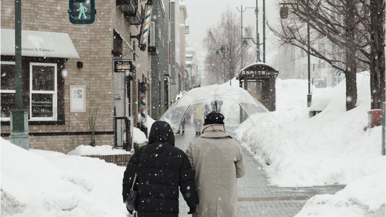 Snowfall Destinations Near Singapore: The Ultimate Holiday Season Guide