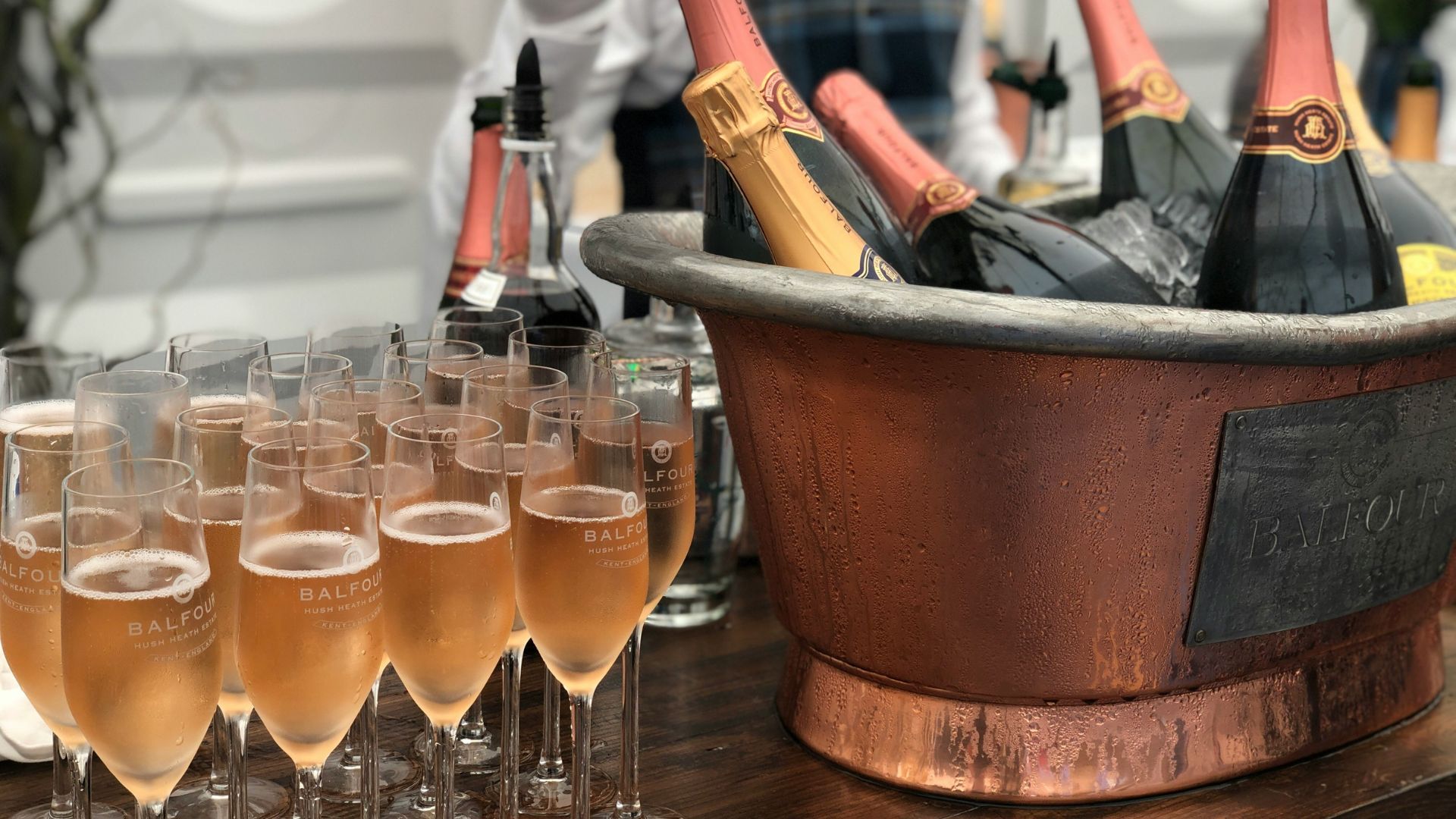 Sparkling Wines: Taste, Pair, & Travel To The World’s Best Vineyards