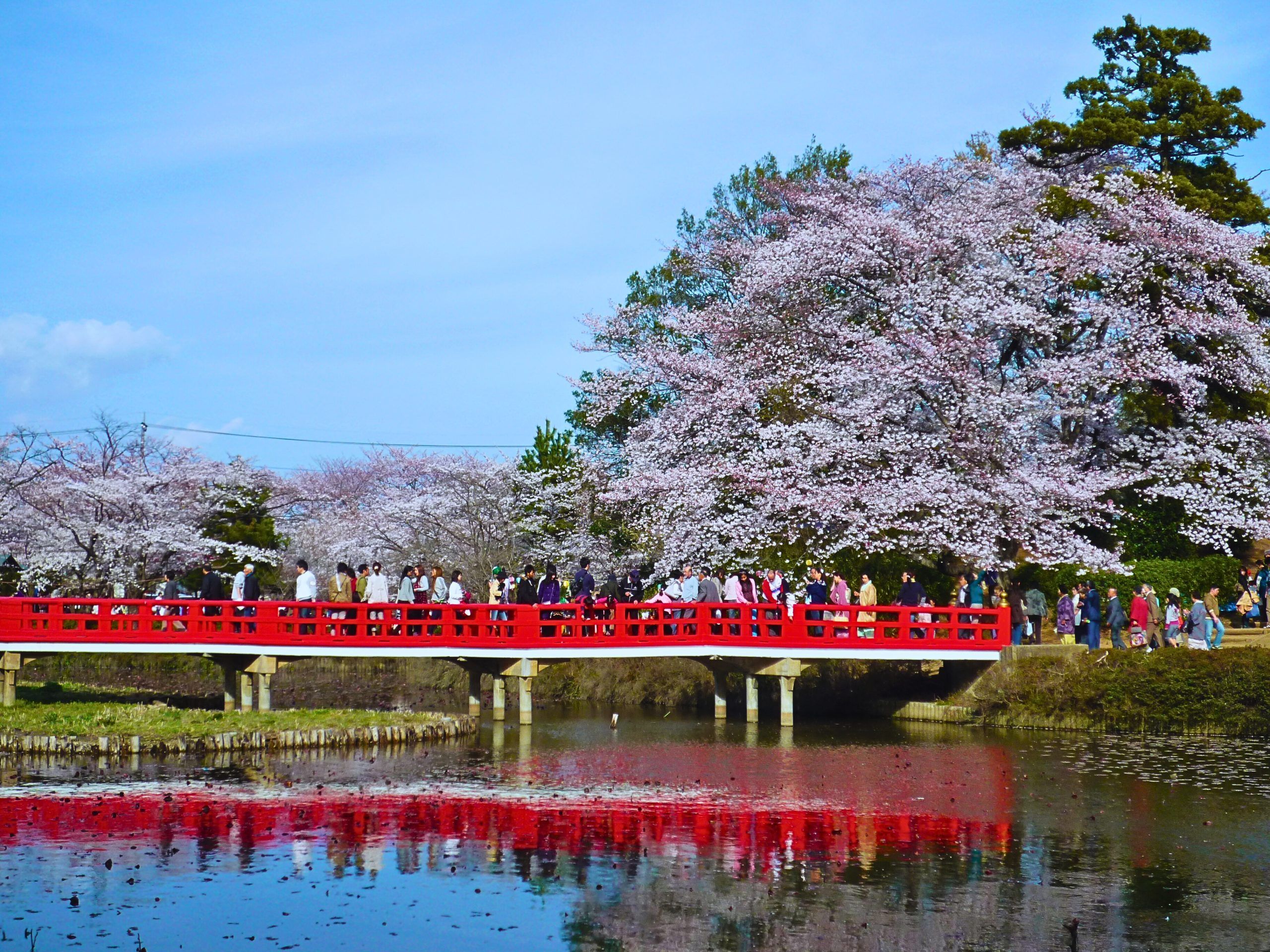 Places To Visit In Saitama: Bonsai Villages, Edo Streets & Ancient Shrines
