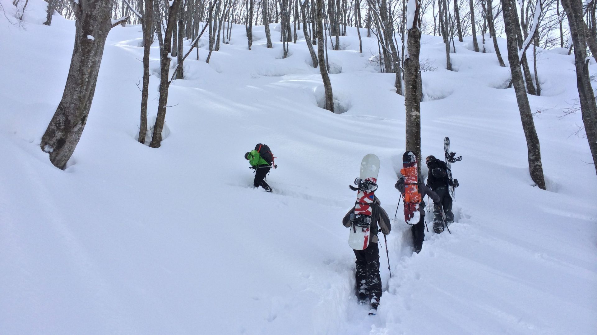 Snowfall Destinations Near Hong Kong: Where To Go For Top Winter Fun
