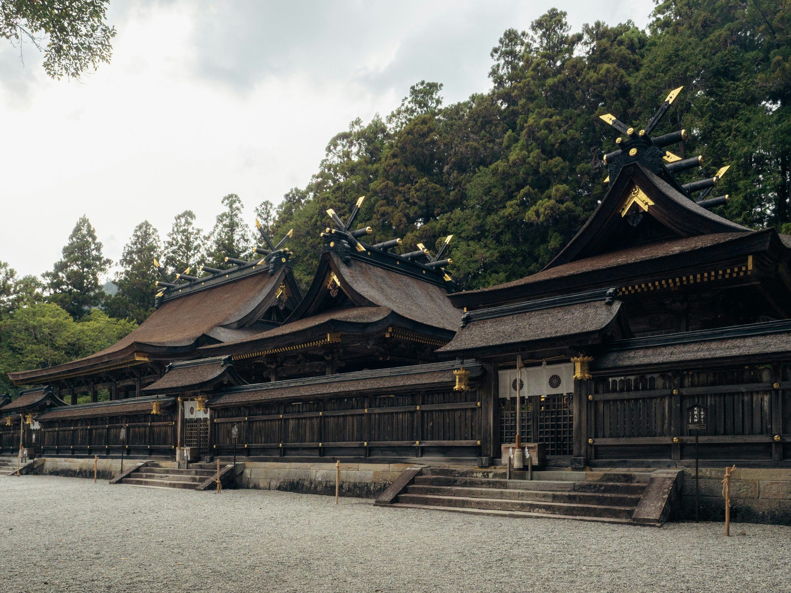 Kumano Kodo Trail: Walk Through Japan’s Most Sacred Pilgrimage Route