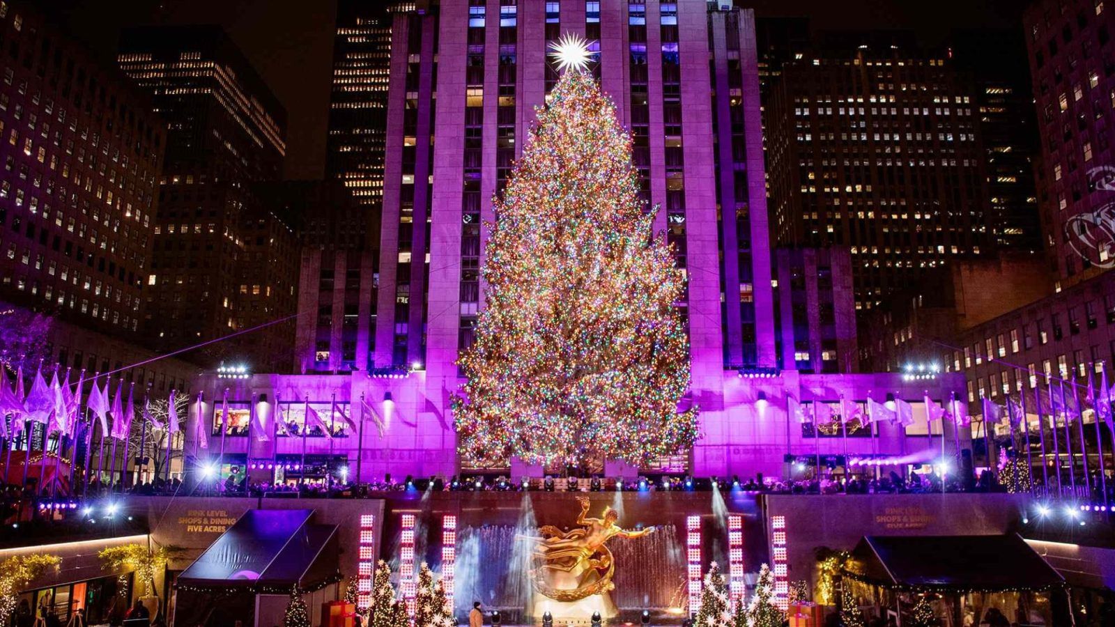 This Year’s Rockefeller Center Christmas Tree Comes From New York