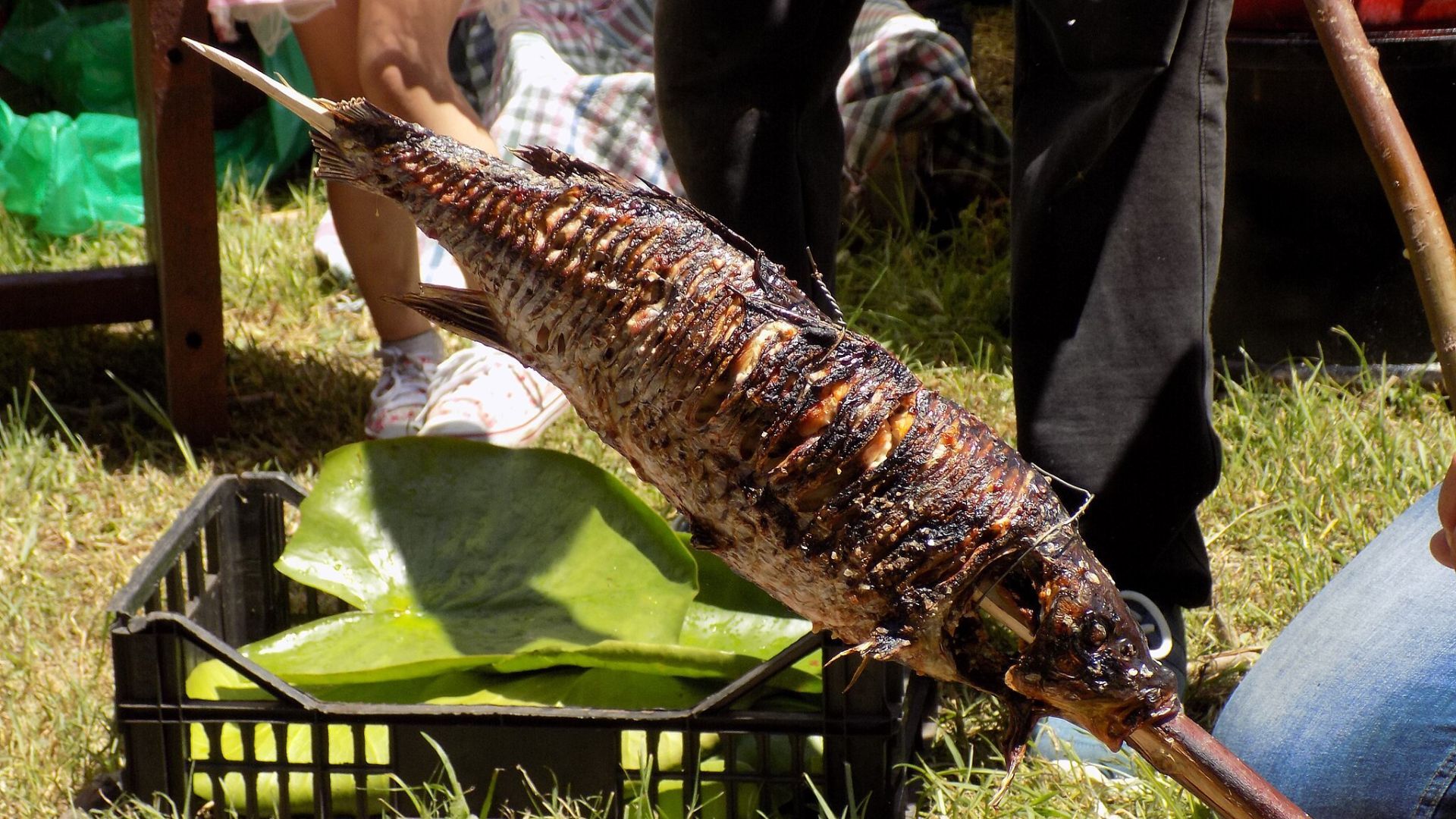 New Year Traditions Across The Globe: Quirky Rituals You’ll Love To Try