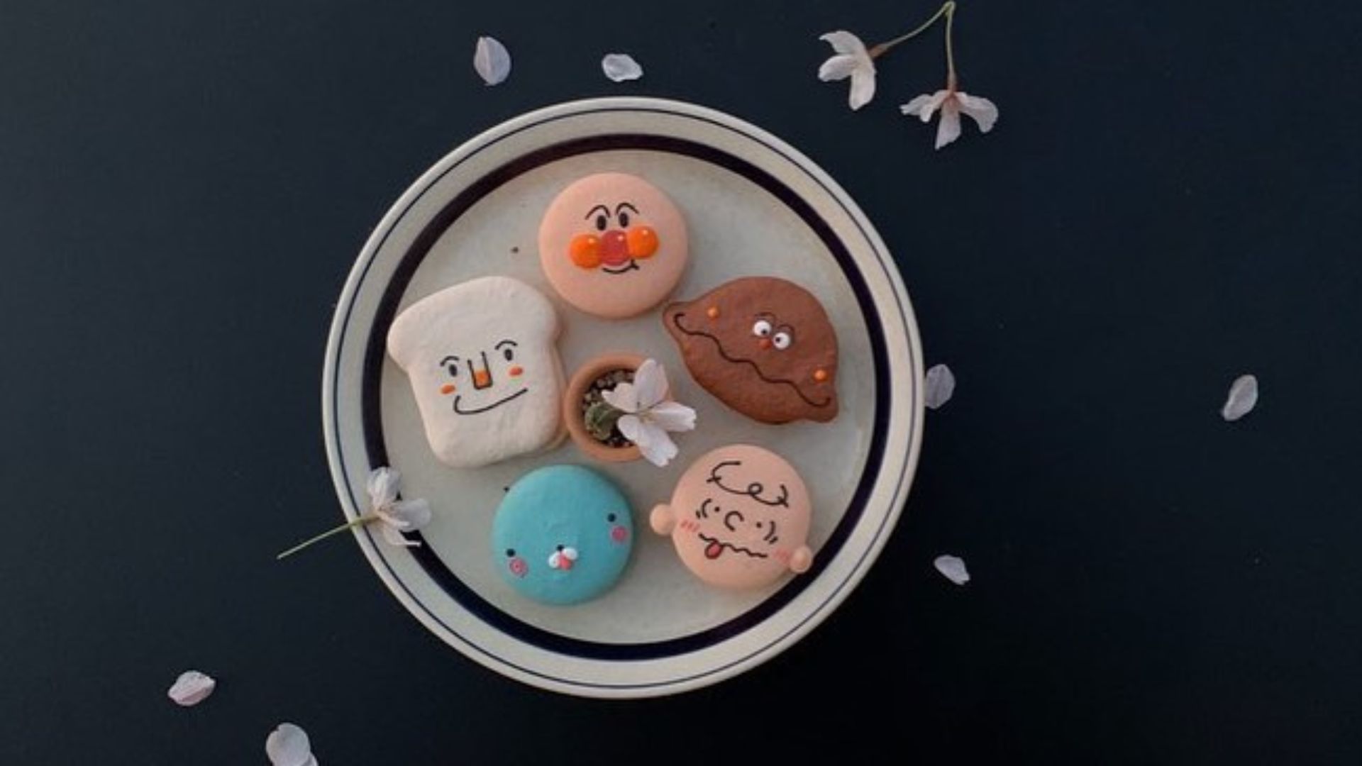 Busan Cafes: Places That Serve Coffee With A Side Of Views And Vibes