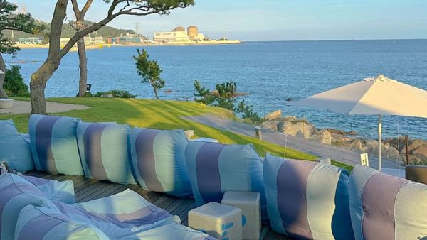 Busan Cafes: Places That Serve Coffee With A Side Of Views And Vibes