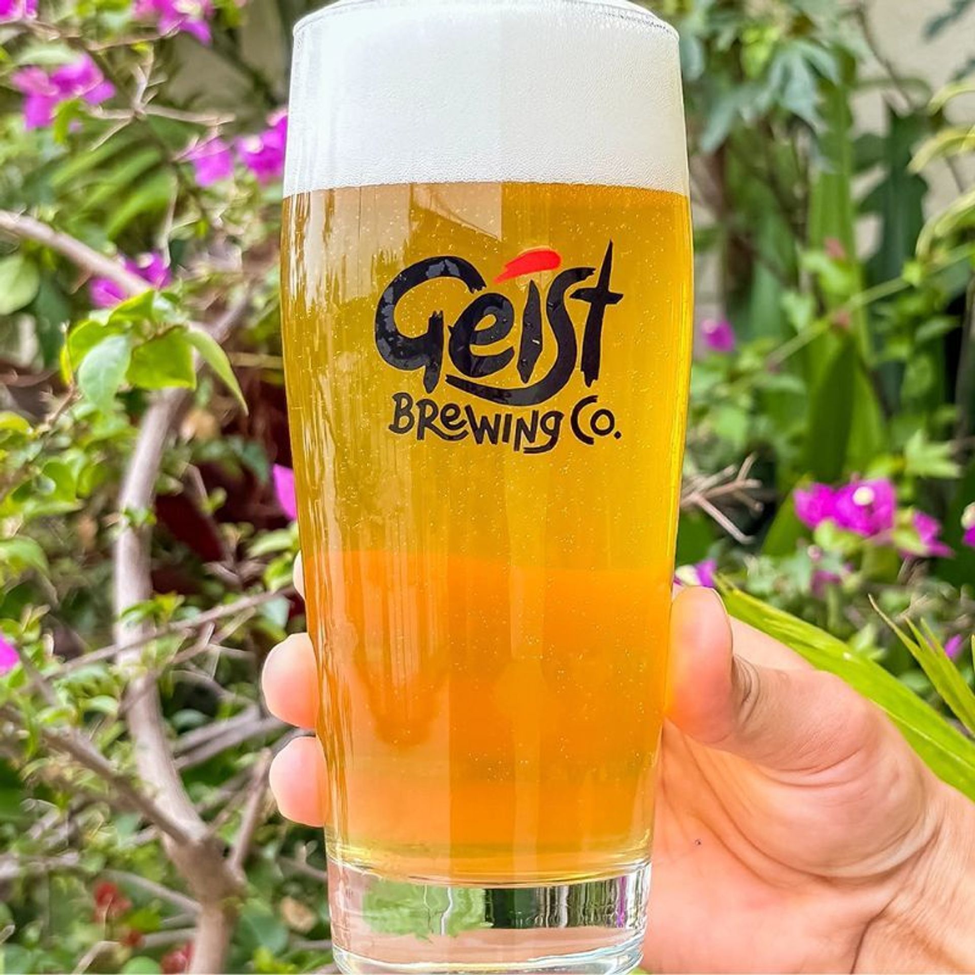 Indian Craft Beers That Deserve A Spot In Your Fridge