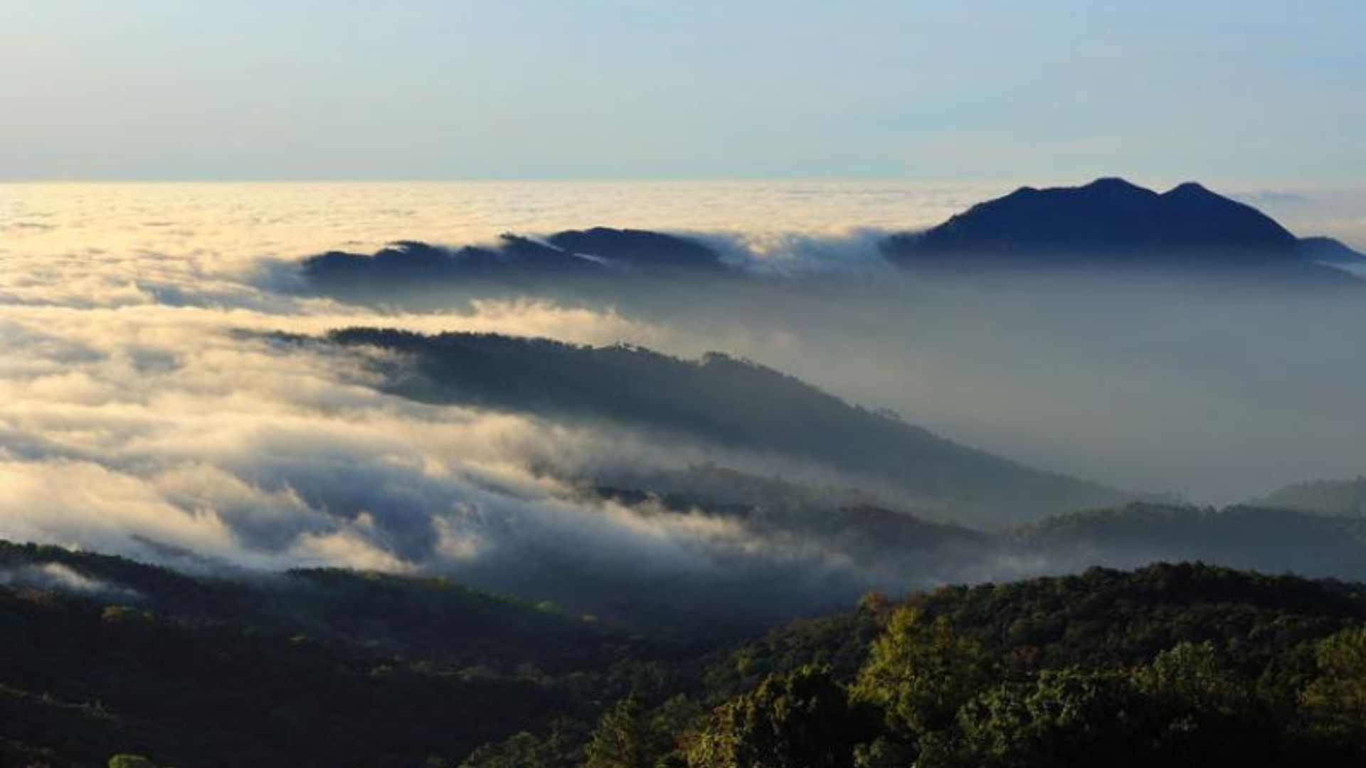 Doi Inthanon’s Kew Mae Pan Trail Reopens For The Winter