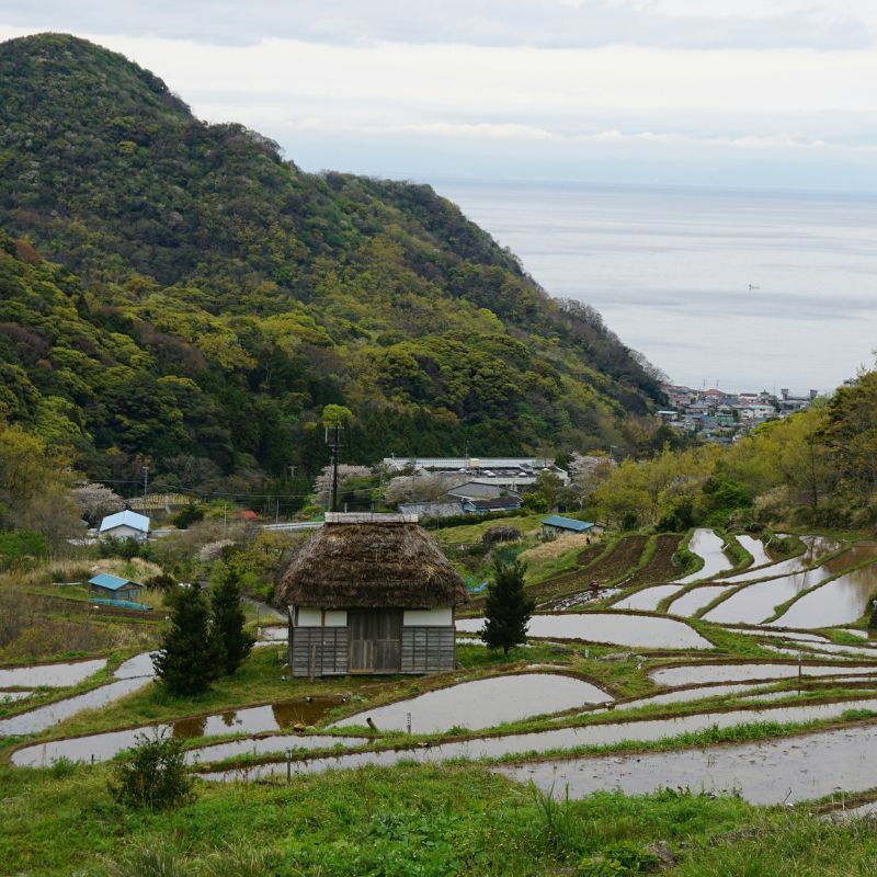 Sento 101: A Guide to Japan’s Communal Bathhouses and Their Traditions