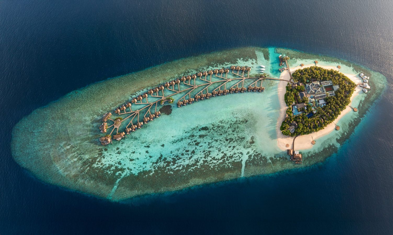 Discover All the Reasons That The Newly Transformed W Maldives Hits ...