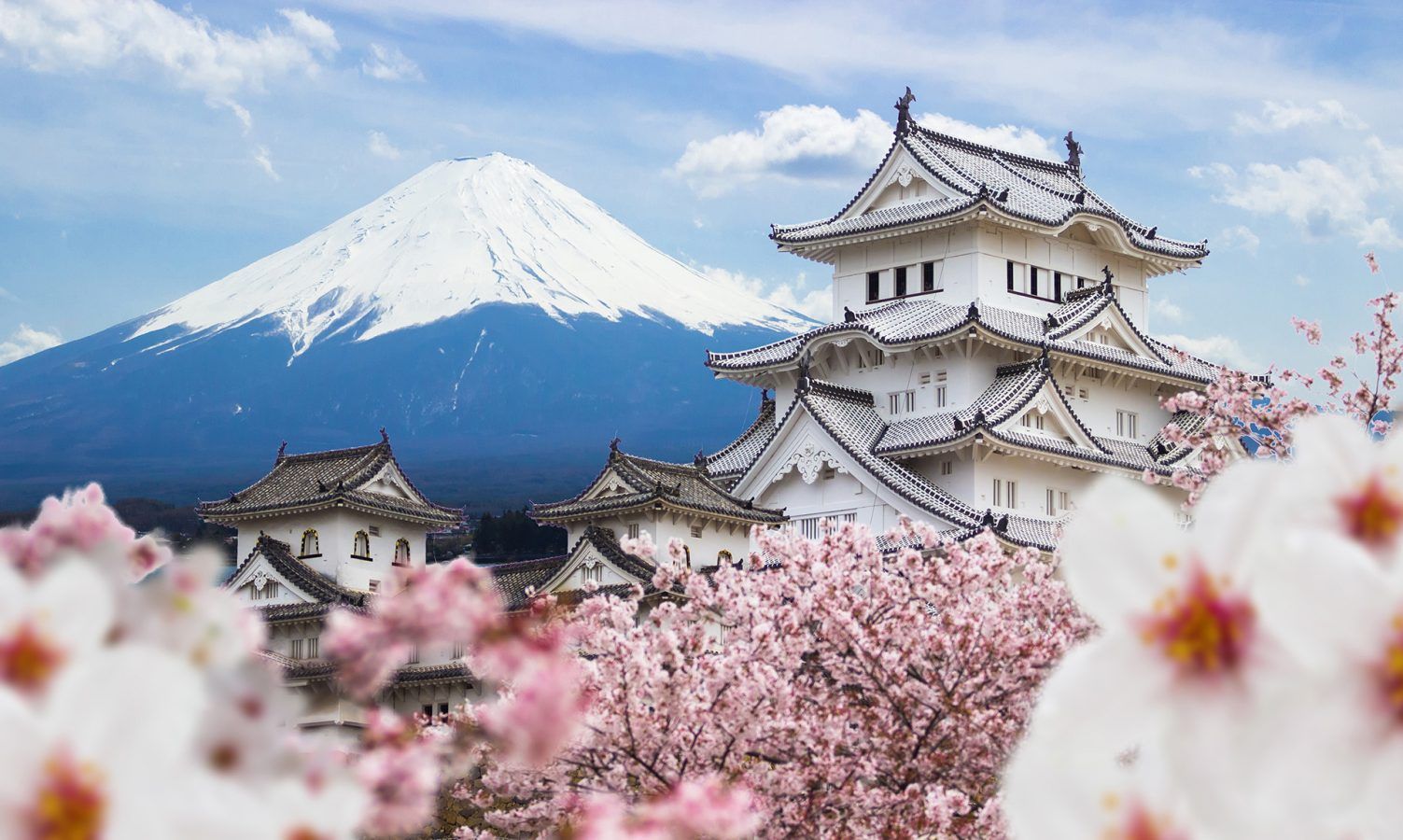 Chase the Cherry Blossom Wave at Accor's Collection of Hotels in Japan