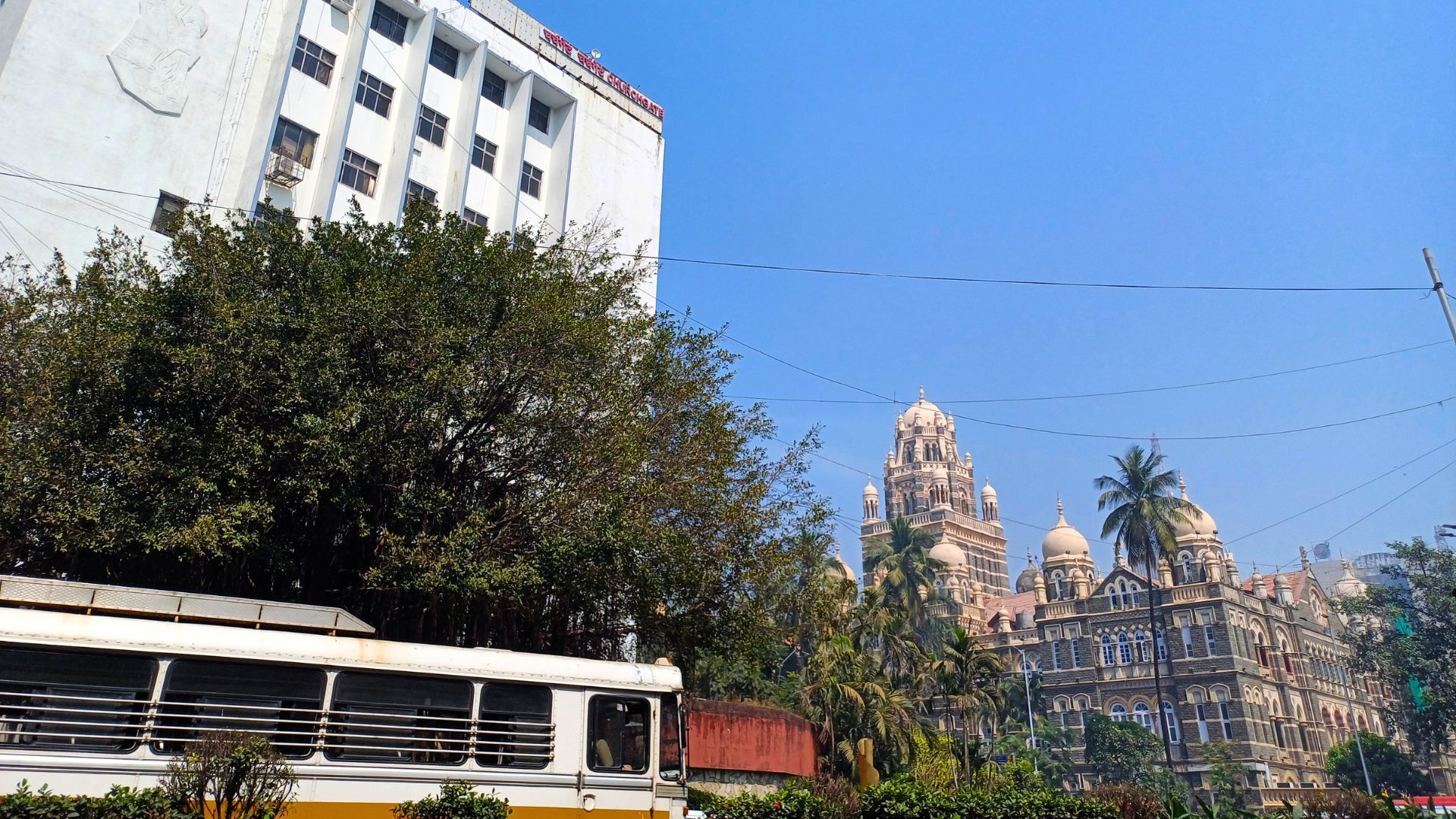 Kala Ghoda Mumbai: Where to Eat, Shop, Go & Stay In The Art District