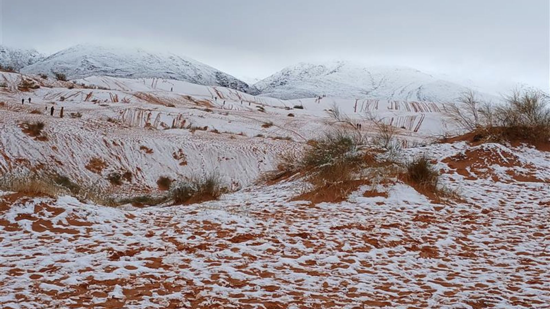 Snow In Desert? These Arid Landscapes Turn Pure White During Winter