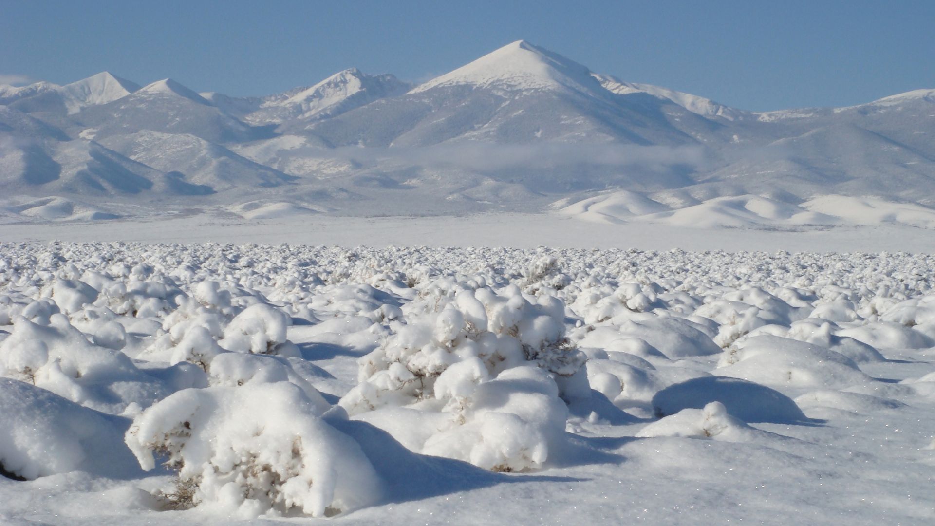 Snow In Desert? These Arid Landscapes Turn Pure White During Winter