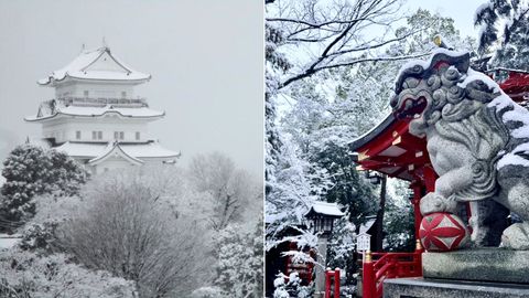 Flights Cancelled & Bullet Trains Delayed As Heavy Snowfall Hits Japan