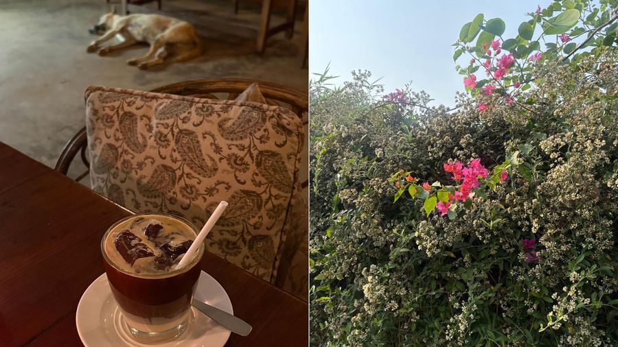 How To Spend 48 Hours In Siolim, Goa (Without Letting AI Mislead You)