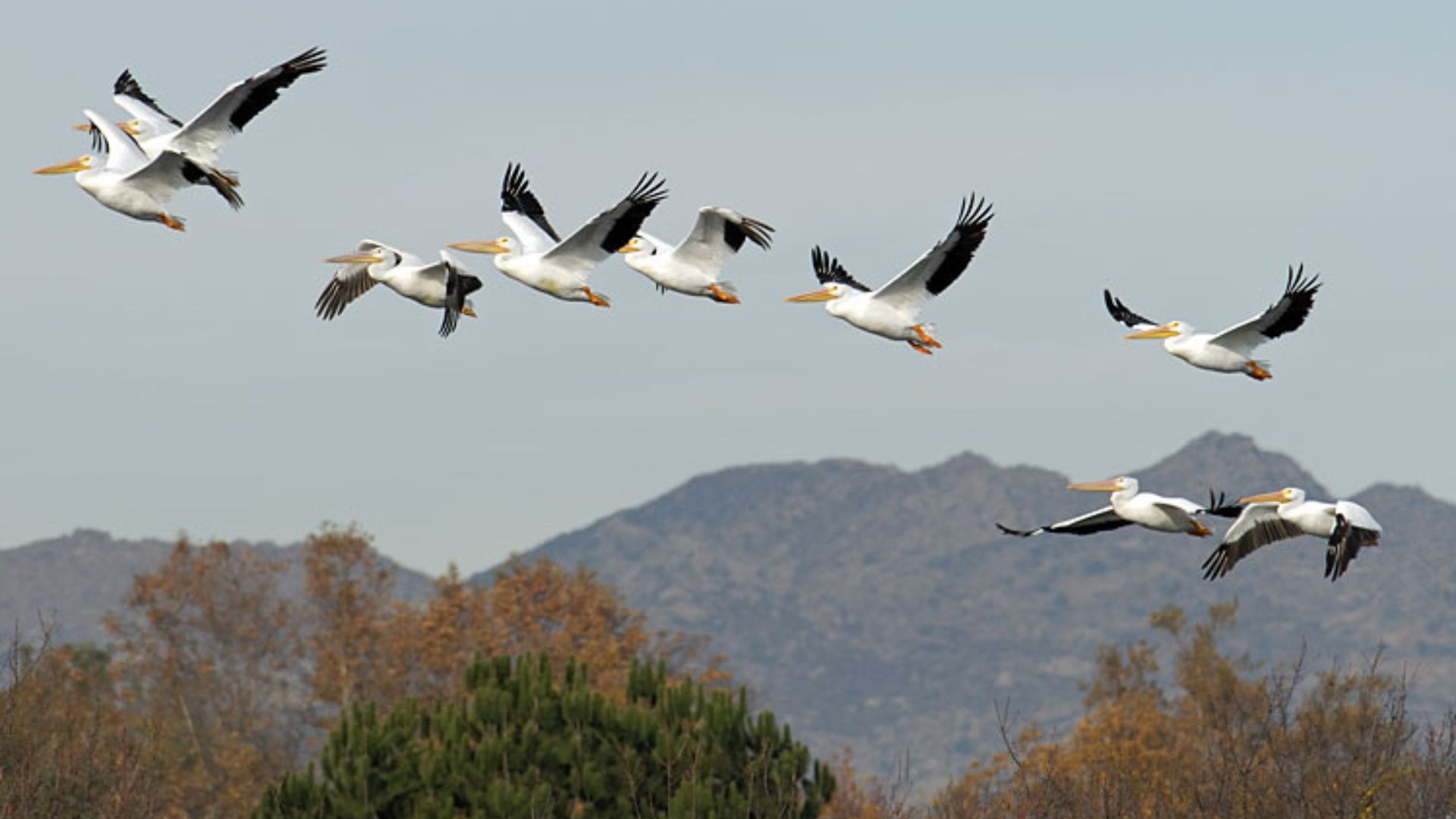 Chhari Dhand Bird Sanctuary: Visiting An Extinct Volcano & A Fiery Sunset