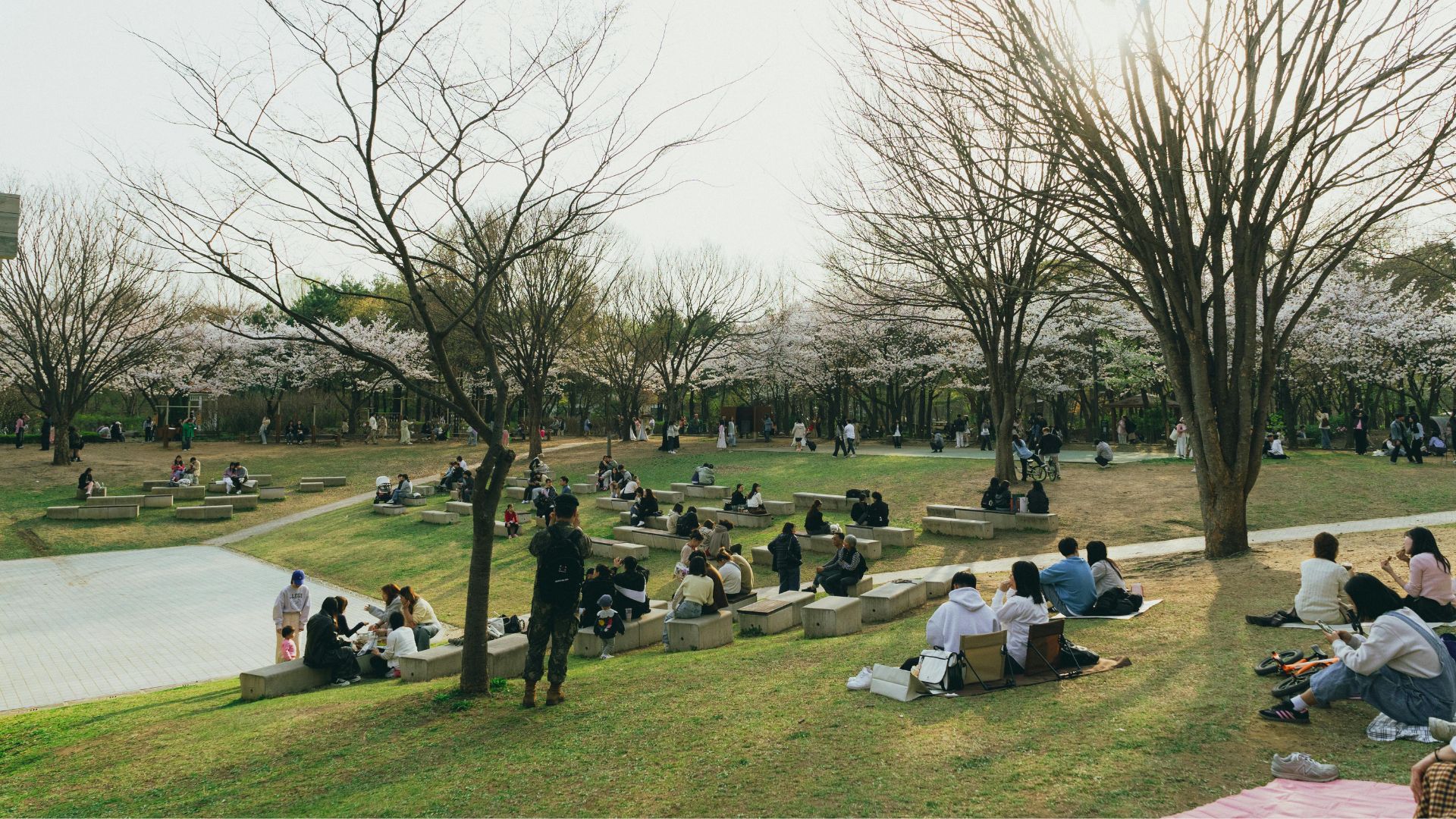 Korea 1330 Hotline: Why Every Tourist Should Know About This