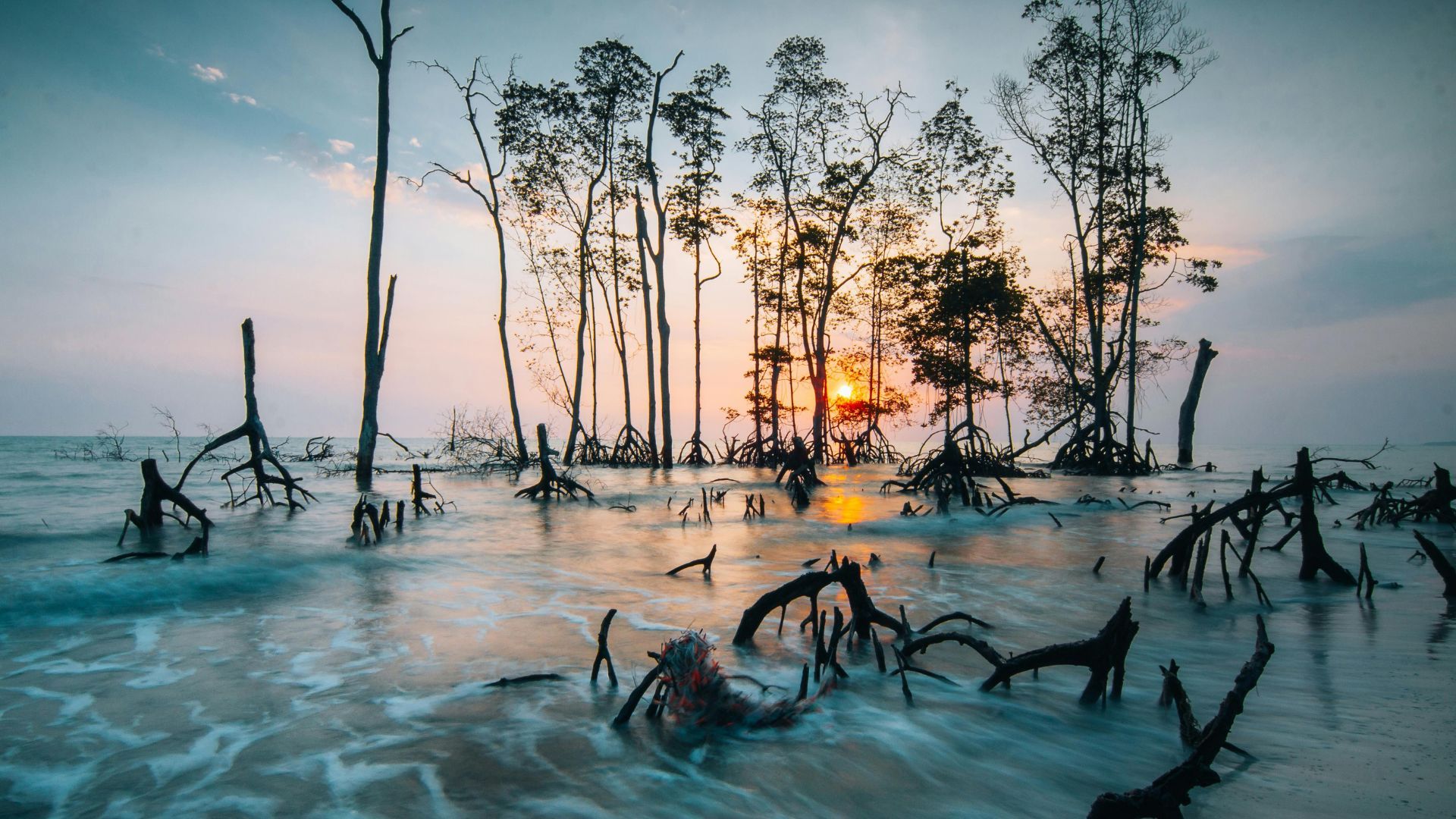 Mangrove Kayaking In India: Best Places For A Slow Coastal Escape
