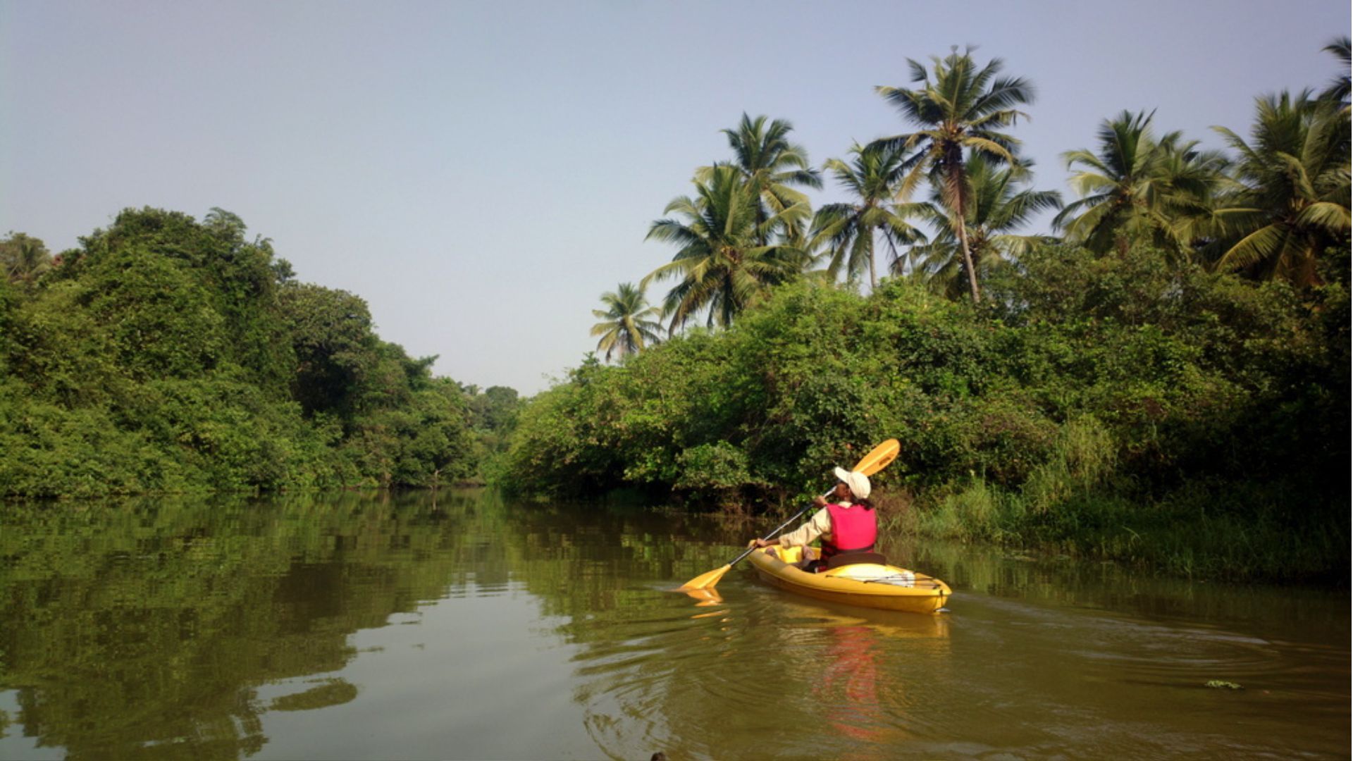 Mangrove Kayaking In India: Best Places For A Slow Coastal Escape