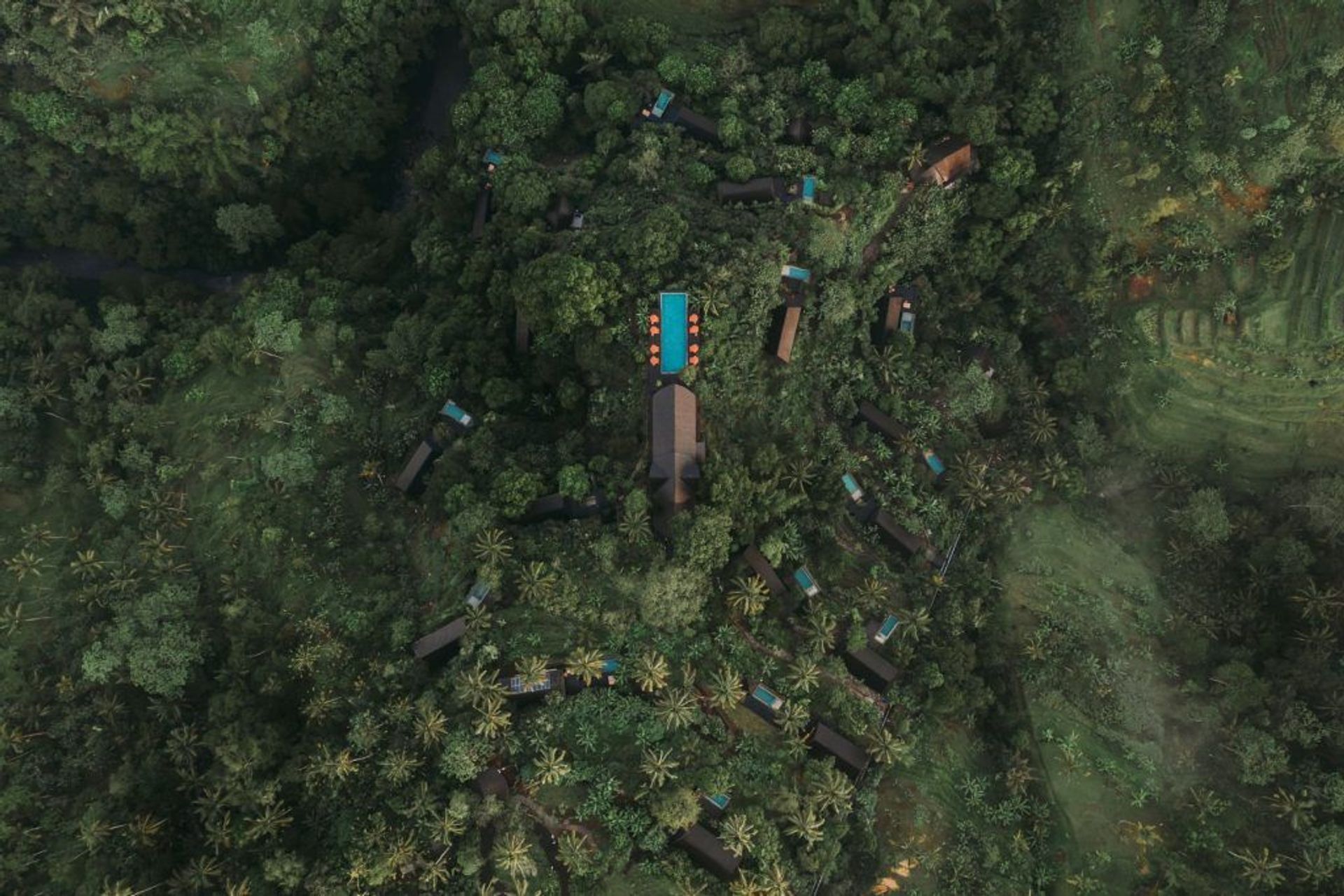 This Hotel Without Walls in Bali Will Change Your Understanding of Luxury