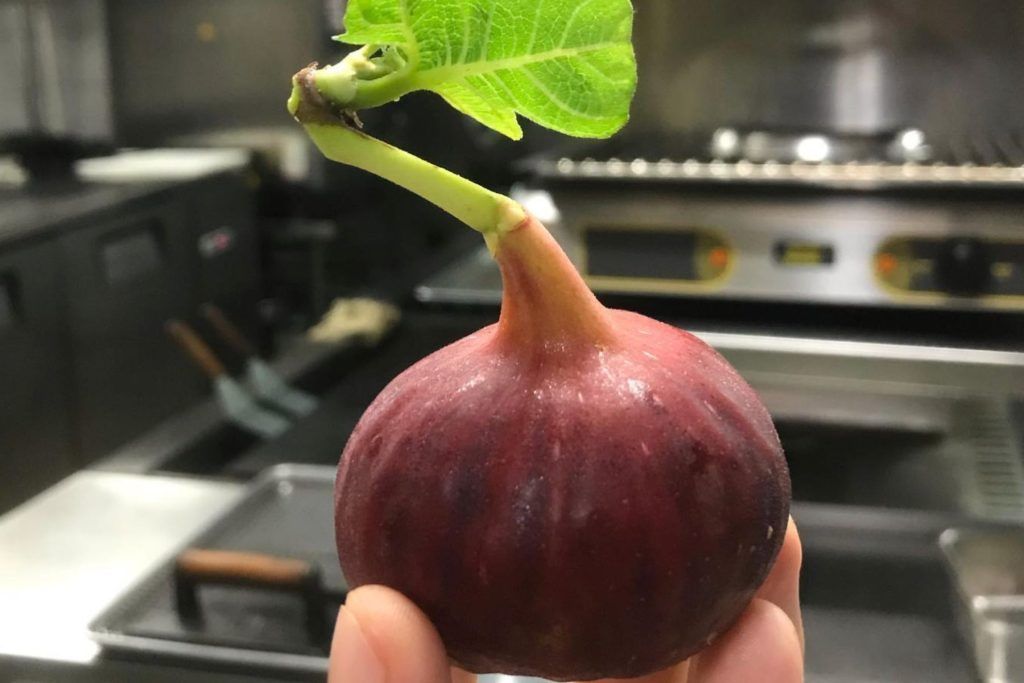 These Are Our Favorite Filipino Food Obsessions Right Now