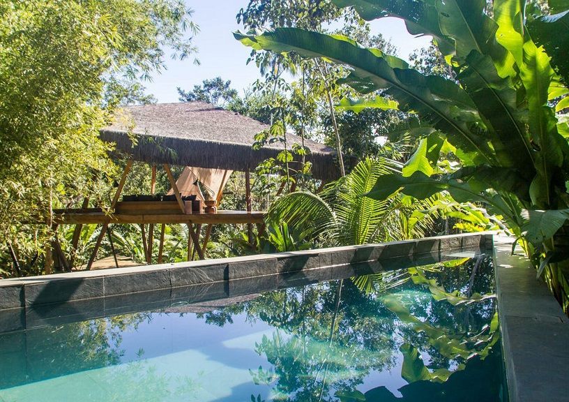 This Jungle Tree House Is In The Heart Of The Brazilian Rain Forest