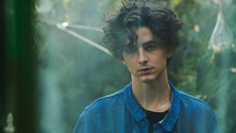 Net Worth Of Timothée Chalamet