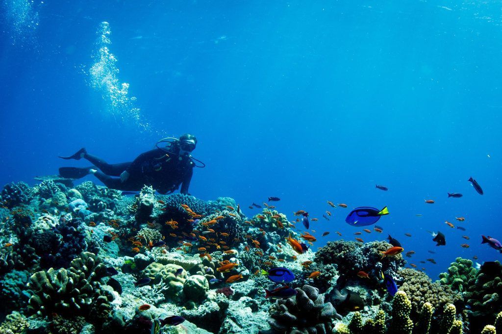 These Are the South Pacific’s Best Hotels, Spas, Pools and More in 2023