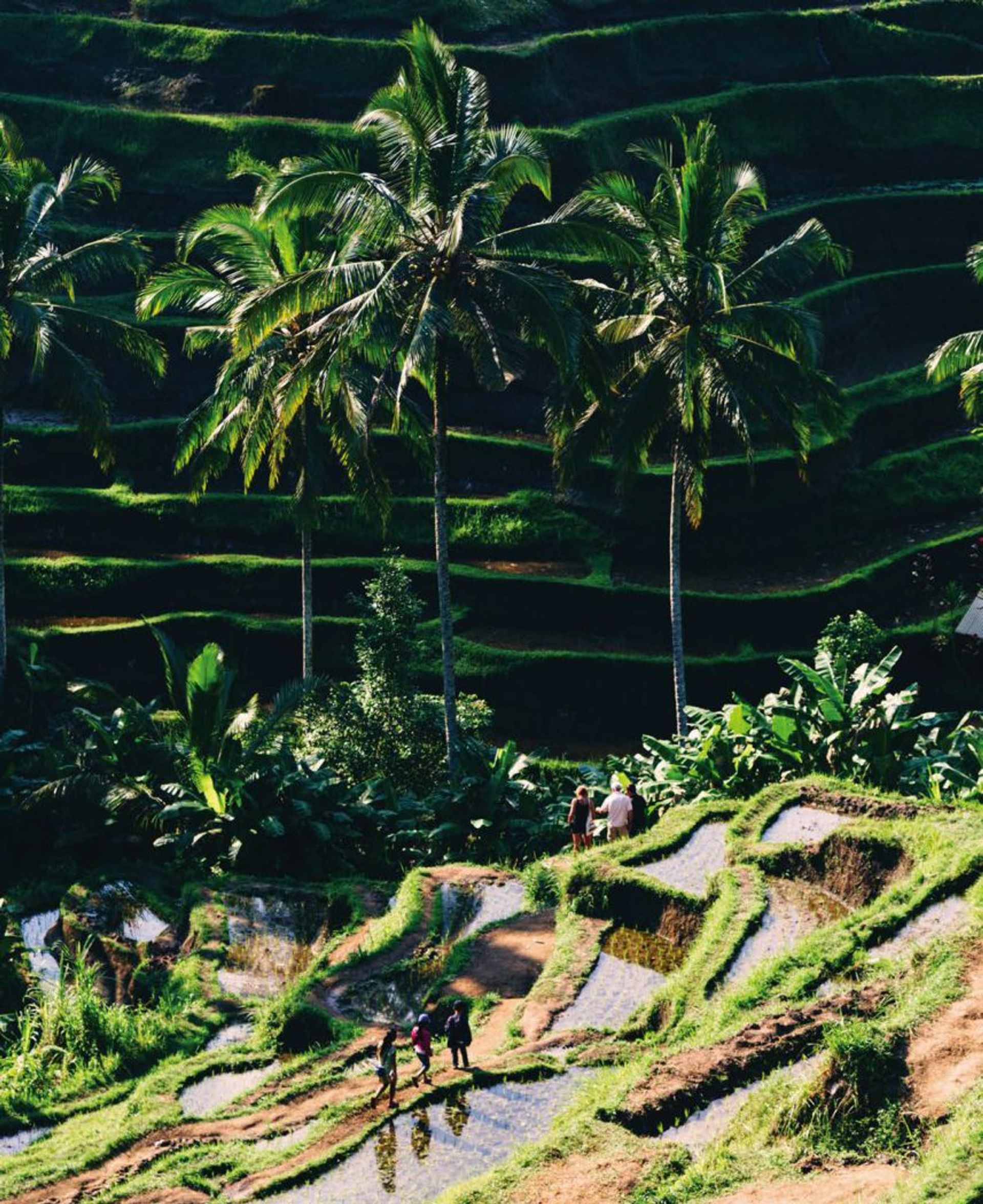 How to Go on a Shaman-Driven Wellness Journey in Ubud, Bali