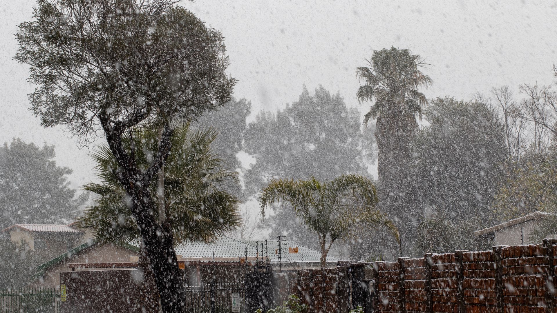 Johannesburg Witnesses Snow For The First Time In Over A Decade