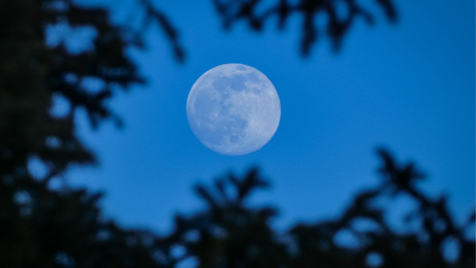 How To Watch The Two Supermoons In August 2023