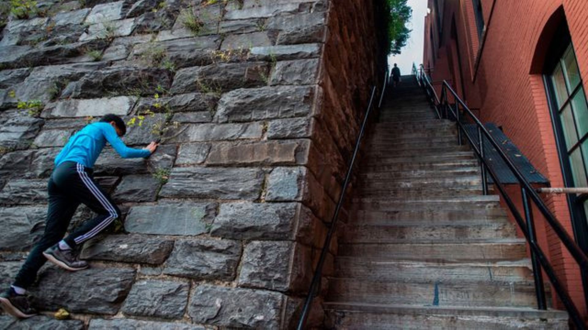 The Best Things To Do In Washington DC