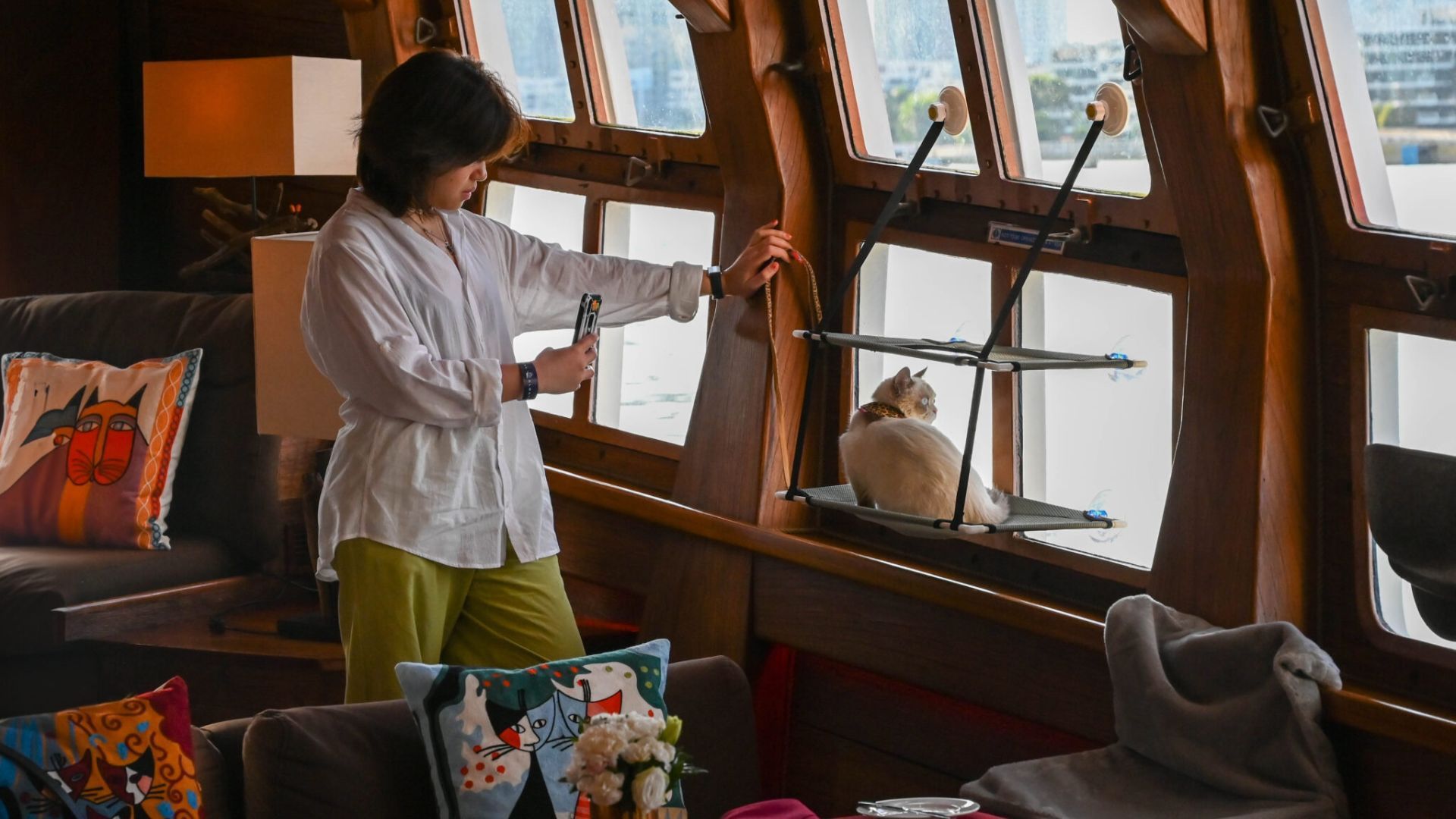All Paws On Deck: Singapore Company Launches Luxury Cat Cruises