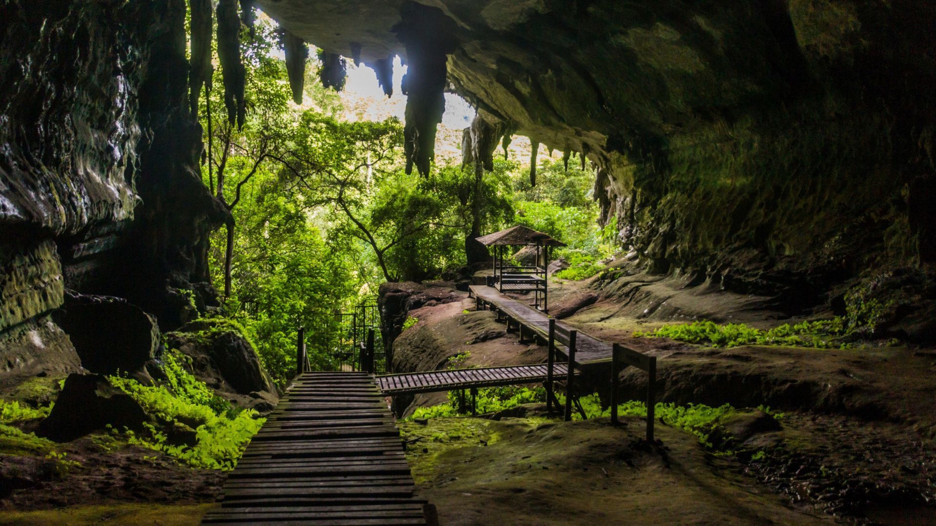 Beautiful Caves in Malaysia
