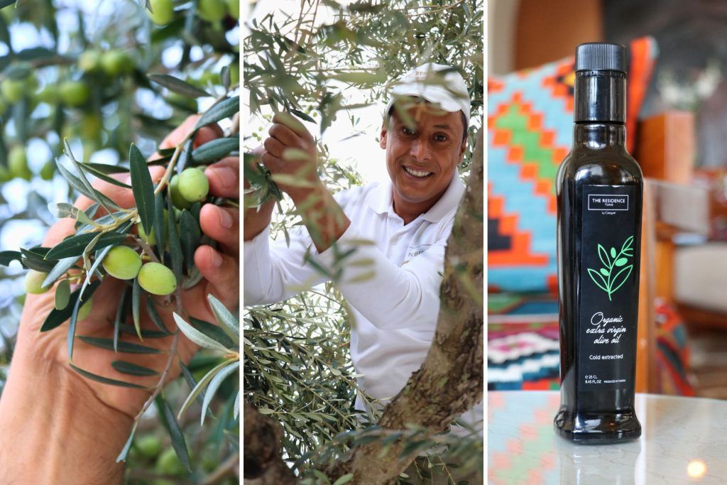 The Residence by Cenizaro Commits to Sustainability Through Unique ...