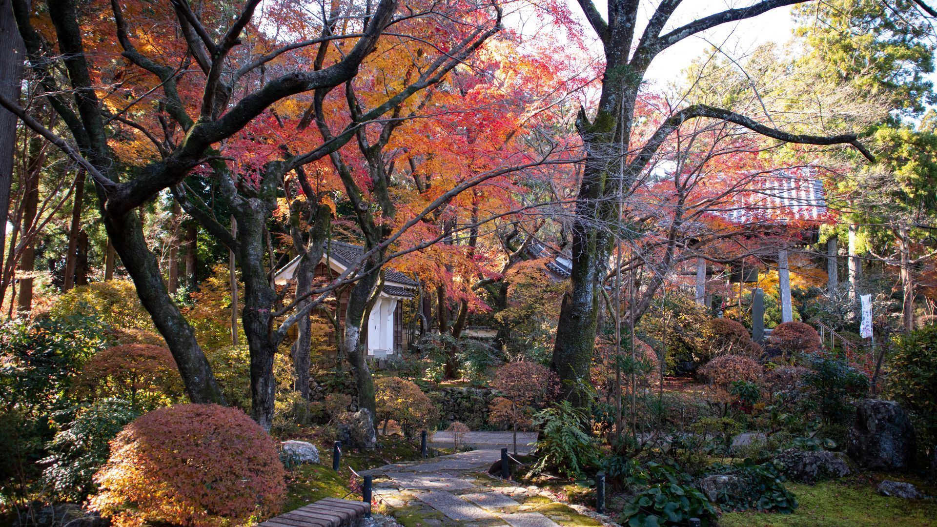 Japan Gets Ready For Fall Leaves Spectacle This Autumn
