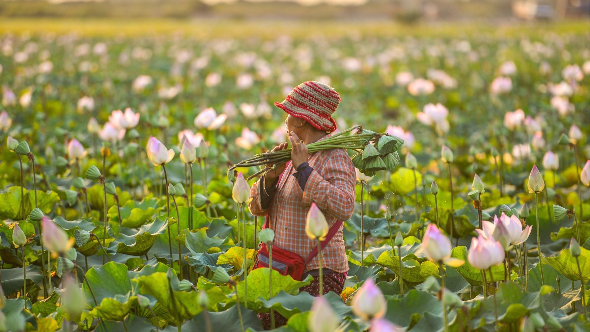 Jet Set To These Countries From Singapore For Quick Weekend Getaways