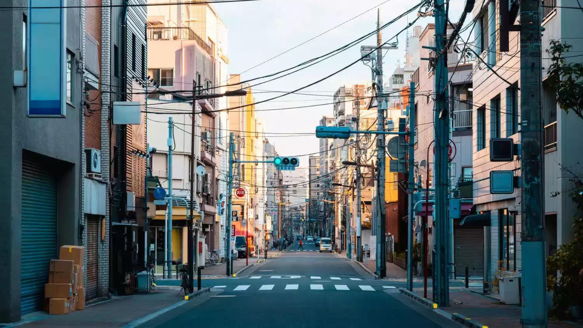This Is The Best Time To Visit Tokyo