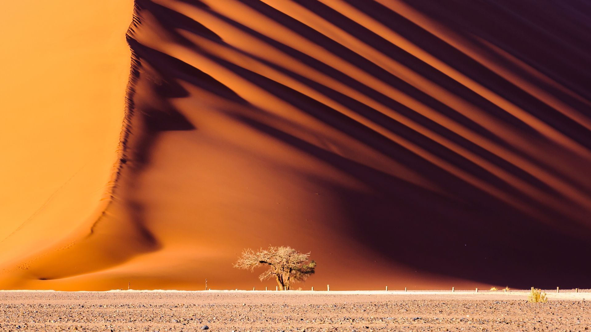 The Most Stunning Snapshots Of Namibia: Deserts, Culture And Beyond
